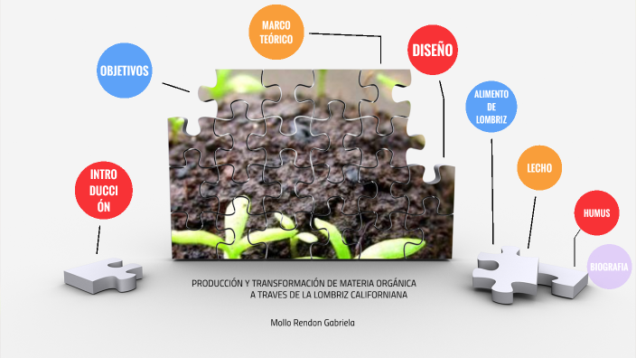 PRODUCCIÓN Y TRANSFORMACIÓN DE MATERIA ORGÁNICA A TRAVÉS DE LA LOMBRIZ ...