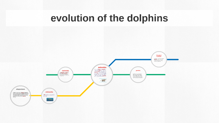 evolution of the dolphins by valentina ortiz on Prezi