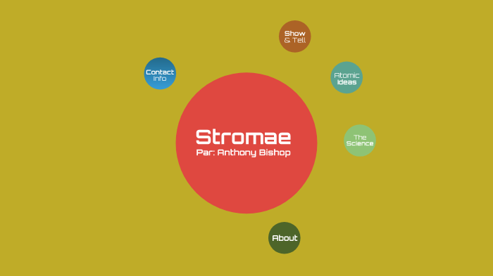 French: Le Projet de La Musique by Anthony St.Clare on Prezi