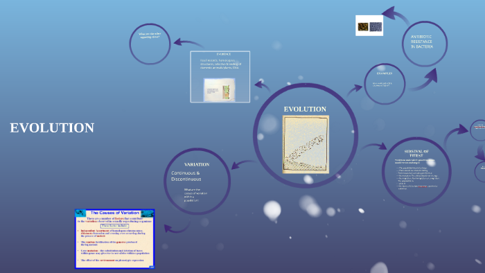 EVOLUTION by Peter Gulian on Prezi