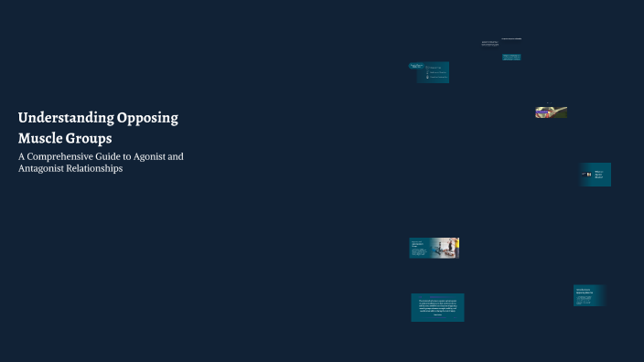 Understanding Opposing Muscle Groups by Katherine Freeman on Prezi