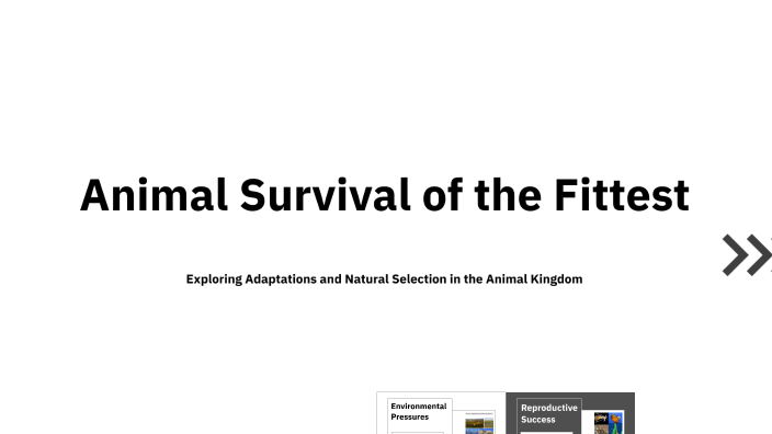 Animal Survival of the Fittest by Tyler Tholen on Prezi
