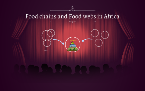 Food chains and Food webs in Africa by Keana Reid on Prezi