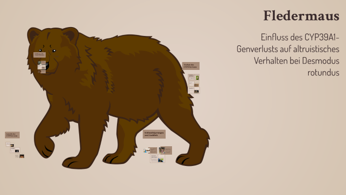 Fledermaus by Ben hen on Prezi