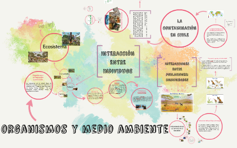 Organismos y medio ambiente by Dronx18 aa on Prezi
