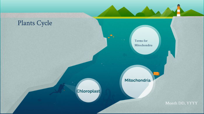 Photosynthesis definitions by jamila morris on Prezi