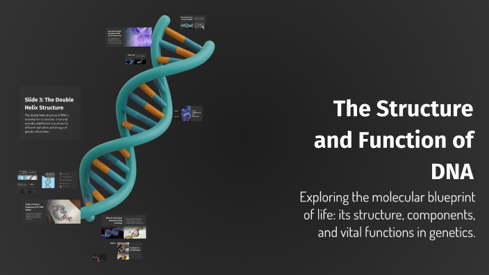 The Structure and Function of DNA by Fahad Alrumaihi on Prezi