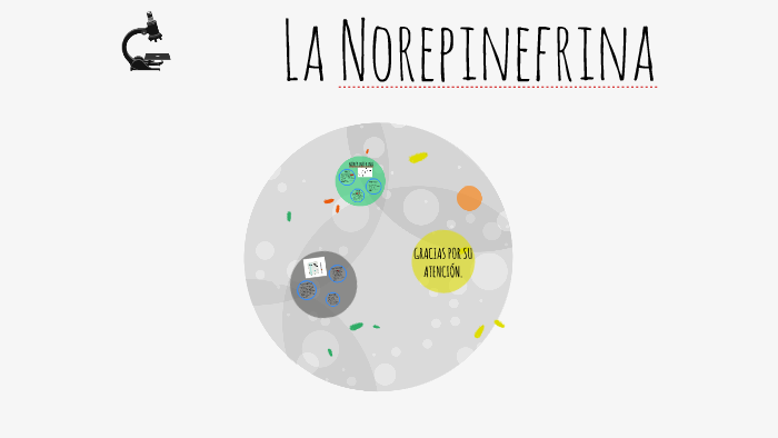La norepinefrina by Maria Rojas on Prezi
