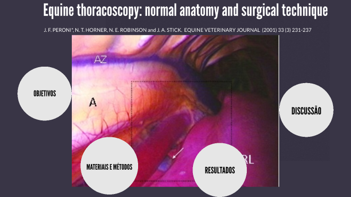 Equine thoracoscopy: normal anatomy and surgical technique by Flavia ...