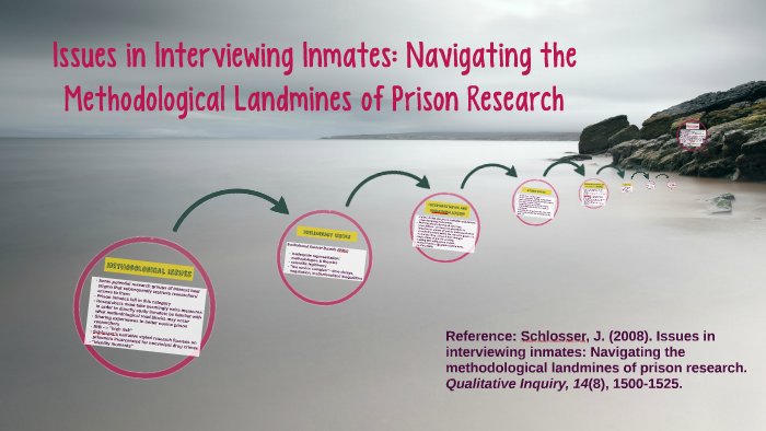 Issues in Interviewing Inmates: Navigating the Methodologica by Amber ...
