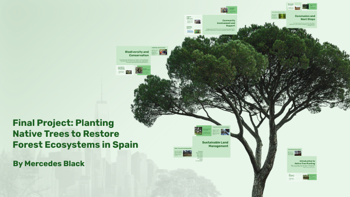 Final Project: Planting Native Trees to Restore Forest Ecosystems in ...