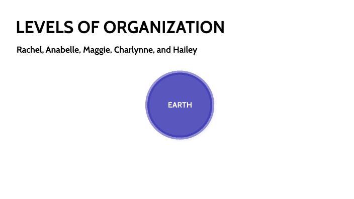 anatomy by Hailey Keating on Prezi