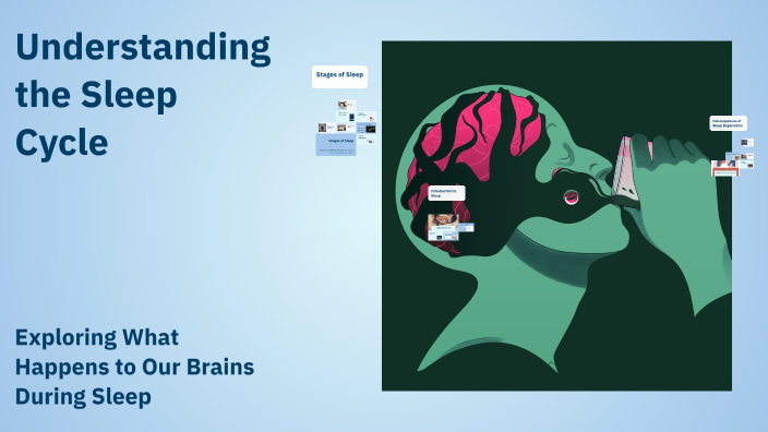 Understanding the Sleep Cycle by Kani Osiagwu on Prezi