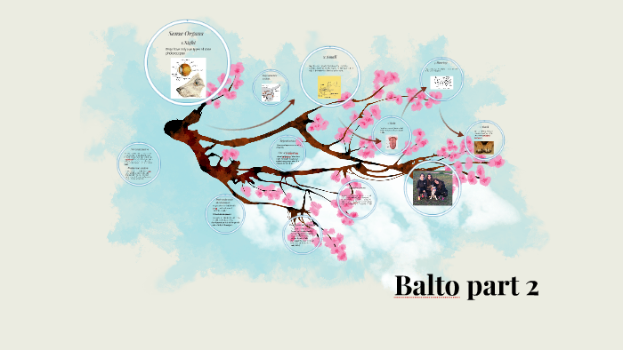 Balto part 2 by rachelvans22 on Prezi
