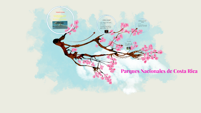 parques nacionales de costa rica by ariana calvo aguilar