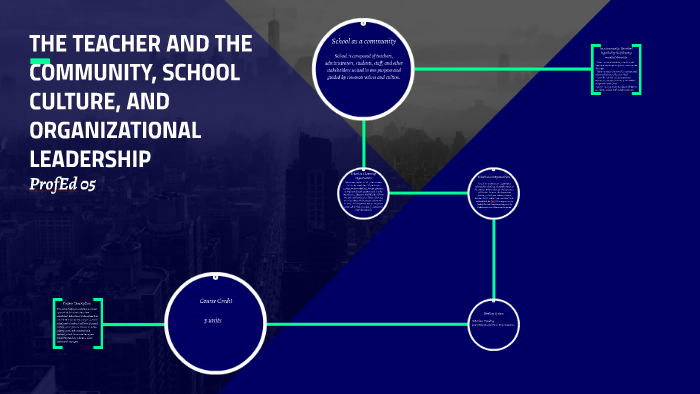 THE TEACHER AND THE COMMUNITY, SCHOOL CULTURE, AND ORGANIZAT by Amiel ...
