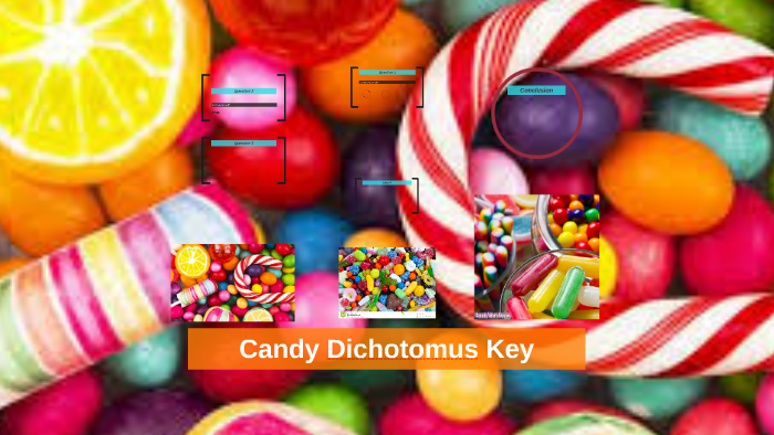 Candy Dichotomus Key by Kyle Maki on Prezi