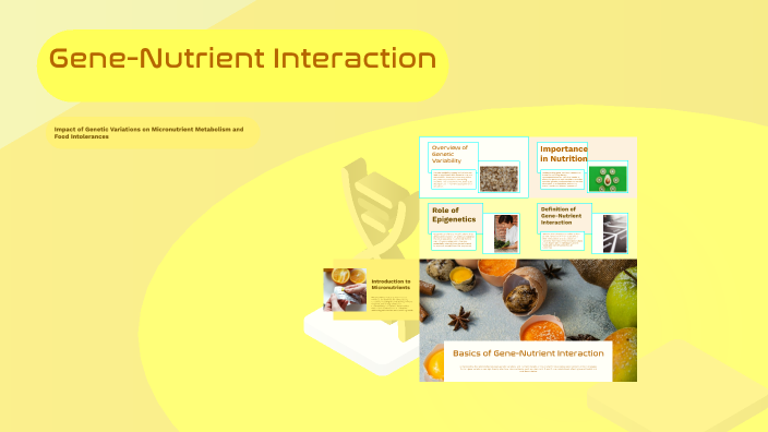 Gene-Nutrient Interaction by Panagiota Skaleri on Prezi