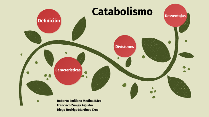 catabolismo by Diedead Mtc on Prezi