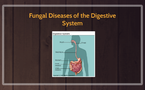 Fungal Diseases of the Digestive System by Abbey King on Prezi