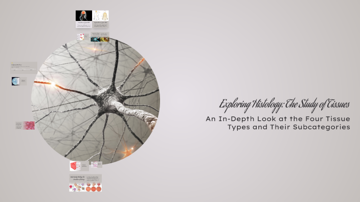 Exploring Histology: The Study of Tissues by Anna Falco on Prezi