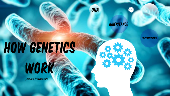 Genetics Infographic by Jessica Rothschild on Prezi