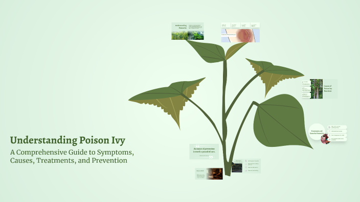 Understanding Poison Ivy by Eliot Scholten on Prezi