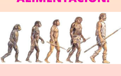 Los rasgos del ser humano by María Atienza on Prezi