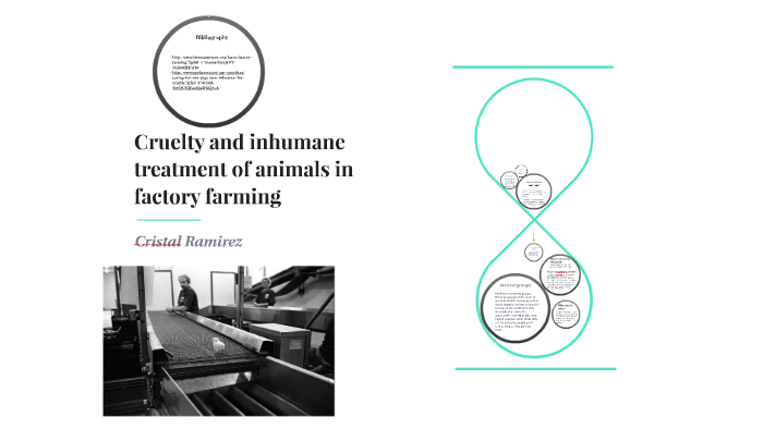 Cruelty and Inhumane treatment of animals in factory farming by Cristal ...