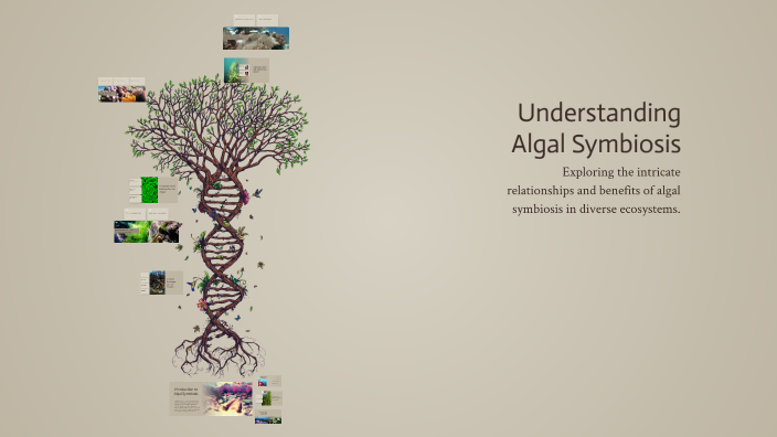 Understanding Algal Symbiosis by Ima student on Prezi
