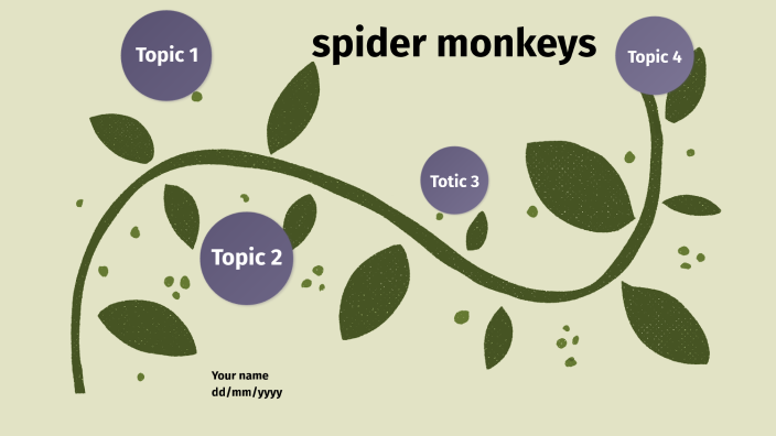 spider monky by Elijah Sweat on Prezi