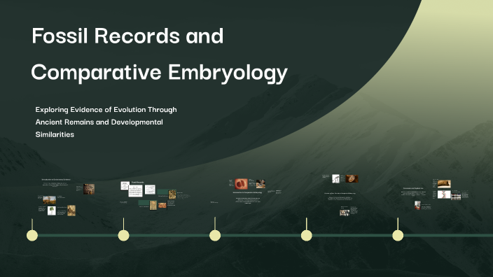 Fossil Records and Comparative Embryology by Emily Sauder on Prezi