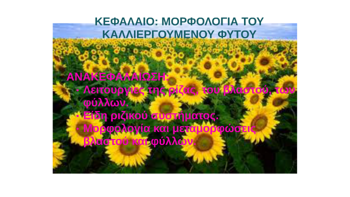 ΑΝΘΗ : ΤΑ ΒΑΣΙΚΑ ΟΡΓΑΝΑ ΑΝΑΠΑΡΑΓΩΓΗΣ ΤΩΝ ΦΥΤΩΝ by Β. ΔΕΣΠΟΙΝΑ on Prezi