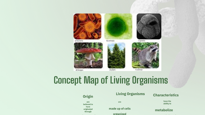 Concept Map of Living Organisms by Cristine Manipon on Prezi