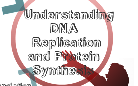DNA Replication by Megan Meighan on Prezi