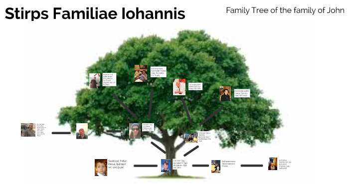 Latin Family Tree by John Guilfoyle on Prezi
