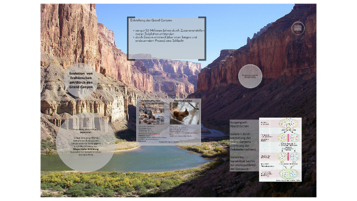 Erdhörnchen am Grand Canyon by Leif Kruse on Prezi