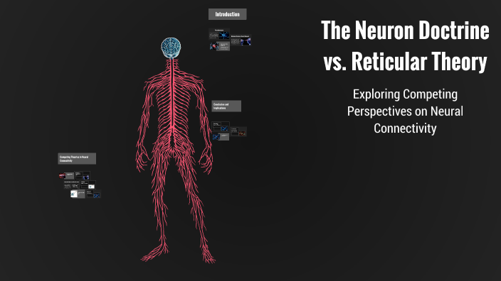 The Neuron Doctrine vs. Reticular Theory by Donnie Skibiski on Prezi