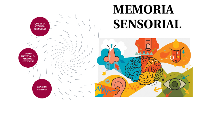 MEMORIA SENSORIAL by Julieth Segura on Prezi MEMORIA SENSORIAL by Julieth Segura on Prezi