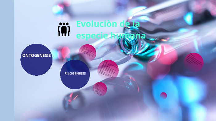 Ontogenesis y Filogenesis Evoluciòn de la especie humana by Hevelin ...