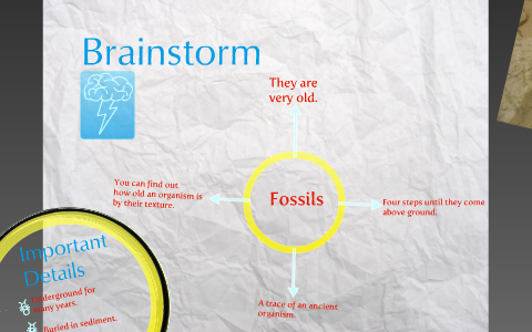 Fossils by matthew cashion on Prezi