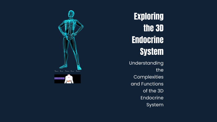 Exploring the 3D Endocrine System by Jayden Graham on Prezi