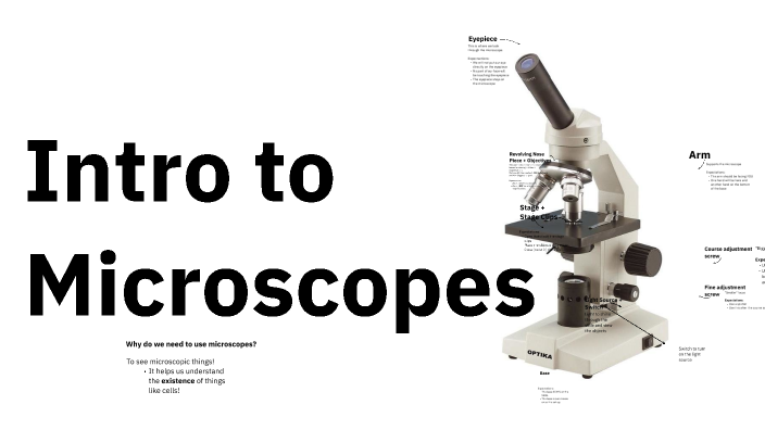 Microscopes Intro by Angela Ituriaga on Prezi