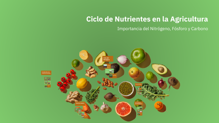 Ciclo de Nutrientes en la Agricultura by Steven Saucedo Vazquez on Prezi