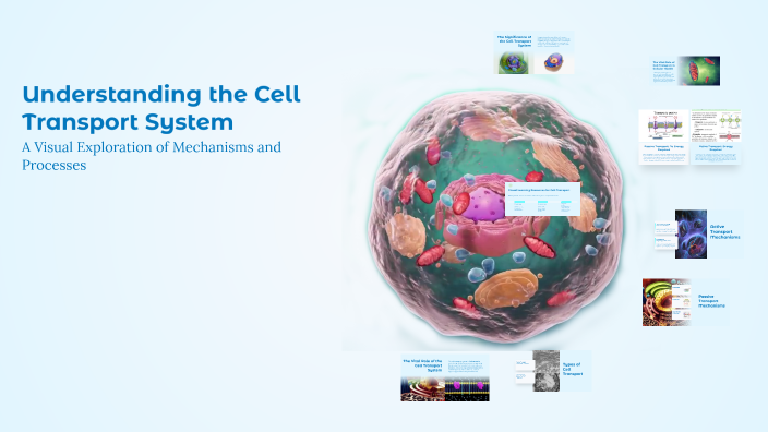Understanding the Cell Transport System by Jonel Geneta on Prezi