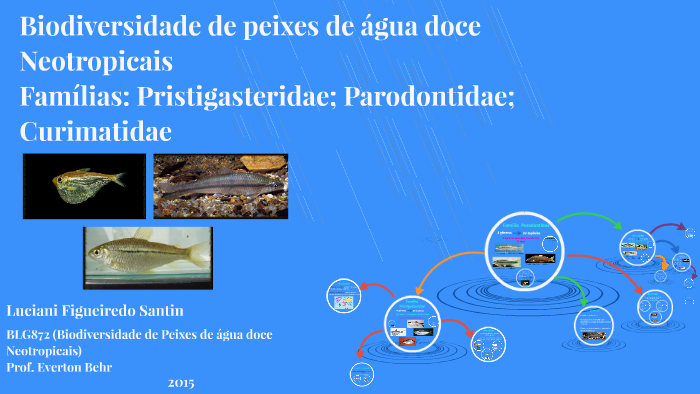 Pristigasteridae, Parodontidae e Curimatidae by Luciani Figueiredo ...