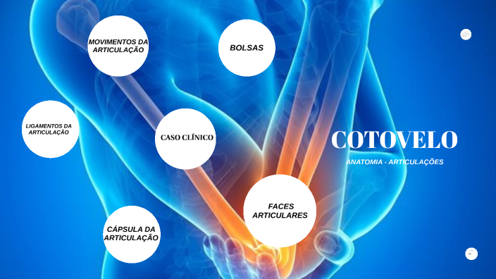 ANATOMIA_ cotovelo by Emilly Pereira on Prezi