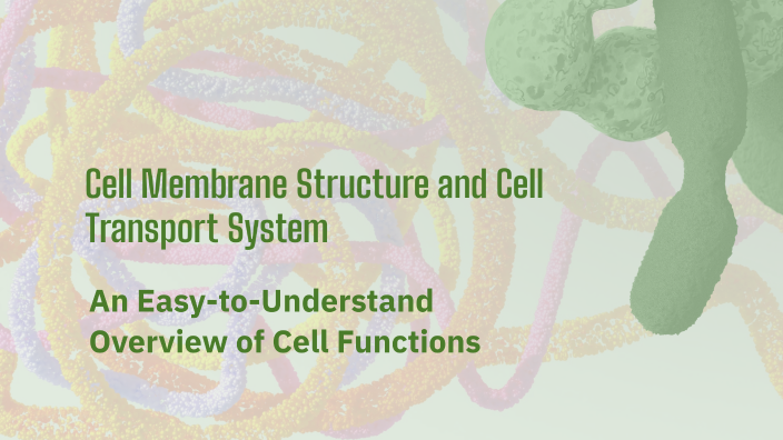 Cell Membrane Structure and Cell Transport System by Şeyda DEMİRKOL on ...