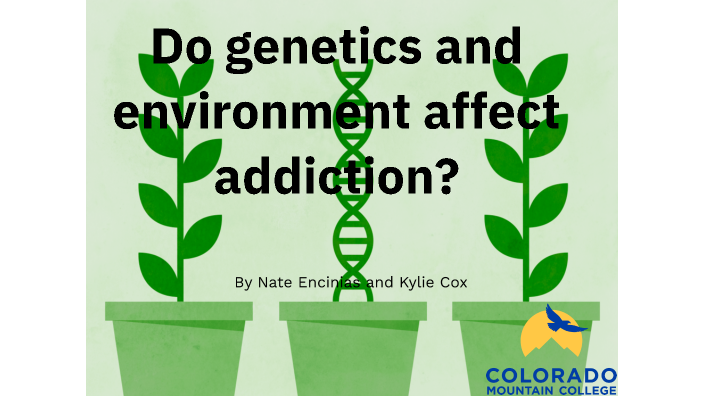 How genetics and environment affect addiction? by Kylie Cox on Prezi