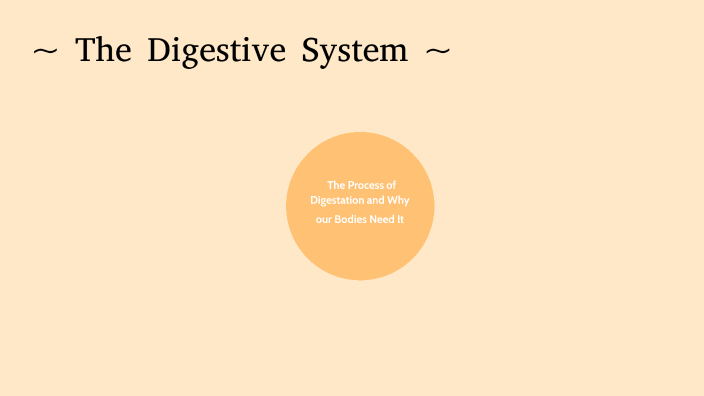 The Digestive System by Isla Todd on Prezi